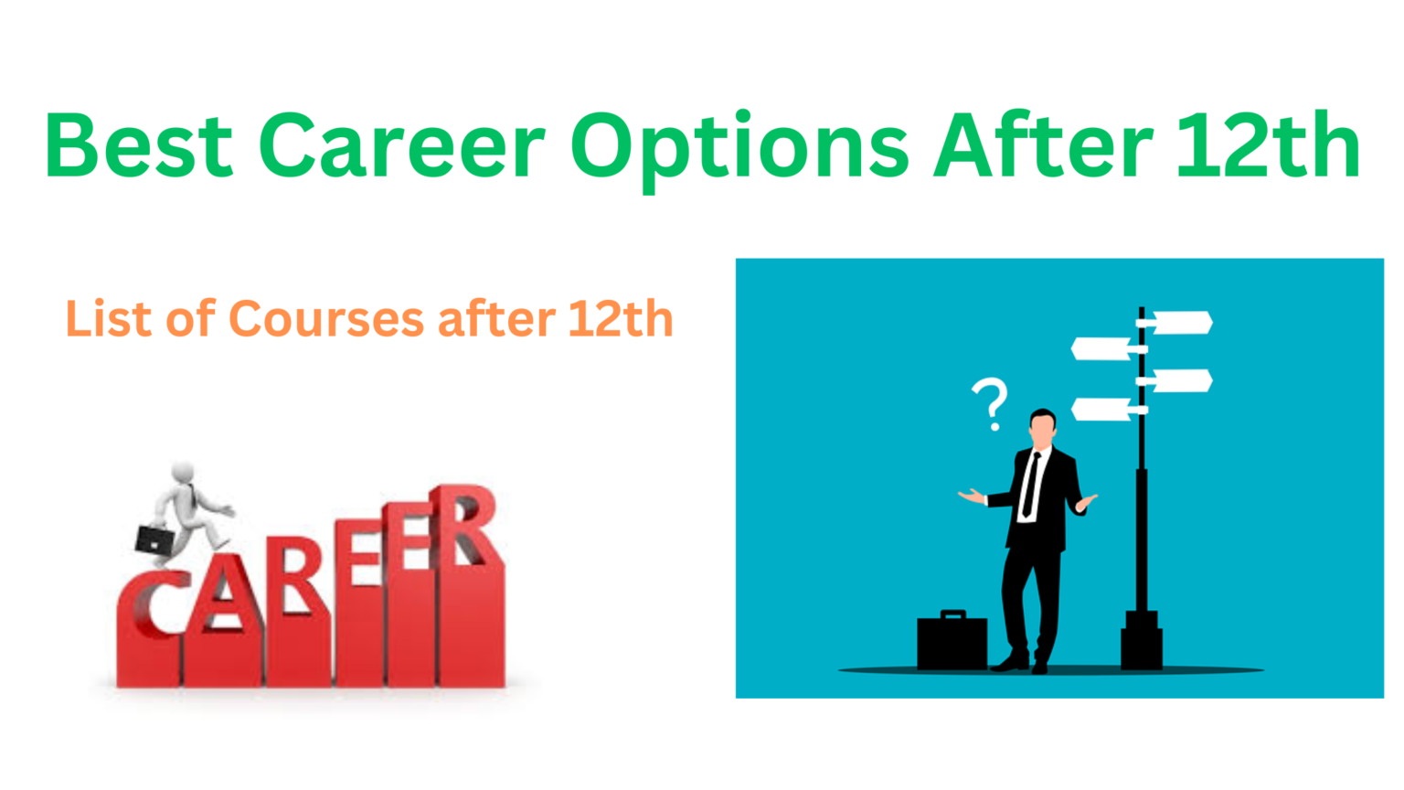 Career Options After 12th
